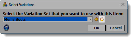 Adding Variation Information to an Item